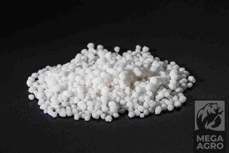 Calcium Nitrate
